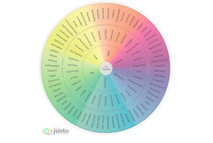 Managing Your Emotional Rollercoaster | The Loved Child